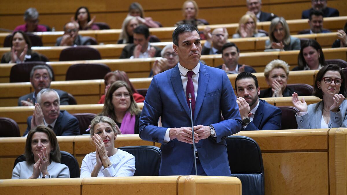 El Debate Entre Sánchez Y Feijóo En El Senado En Dos Minutos Vídeos