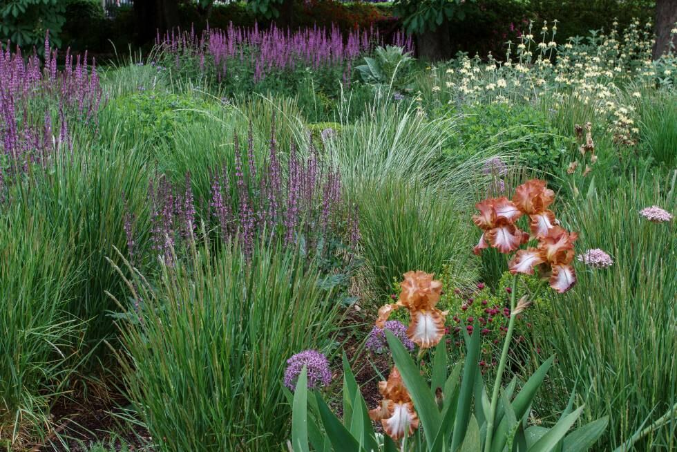 Jardinería: Así es el nuevo Jardín Botánico de Madrid que firman los ...