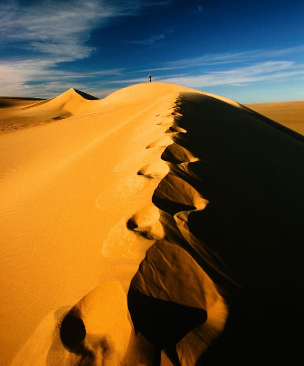 La dureza del desierto Líbico | Fotos | EL PAÍS Semanal | EL PAÍS