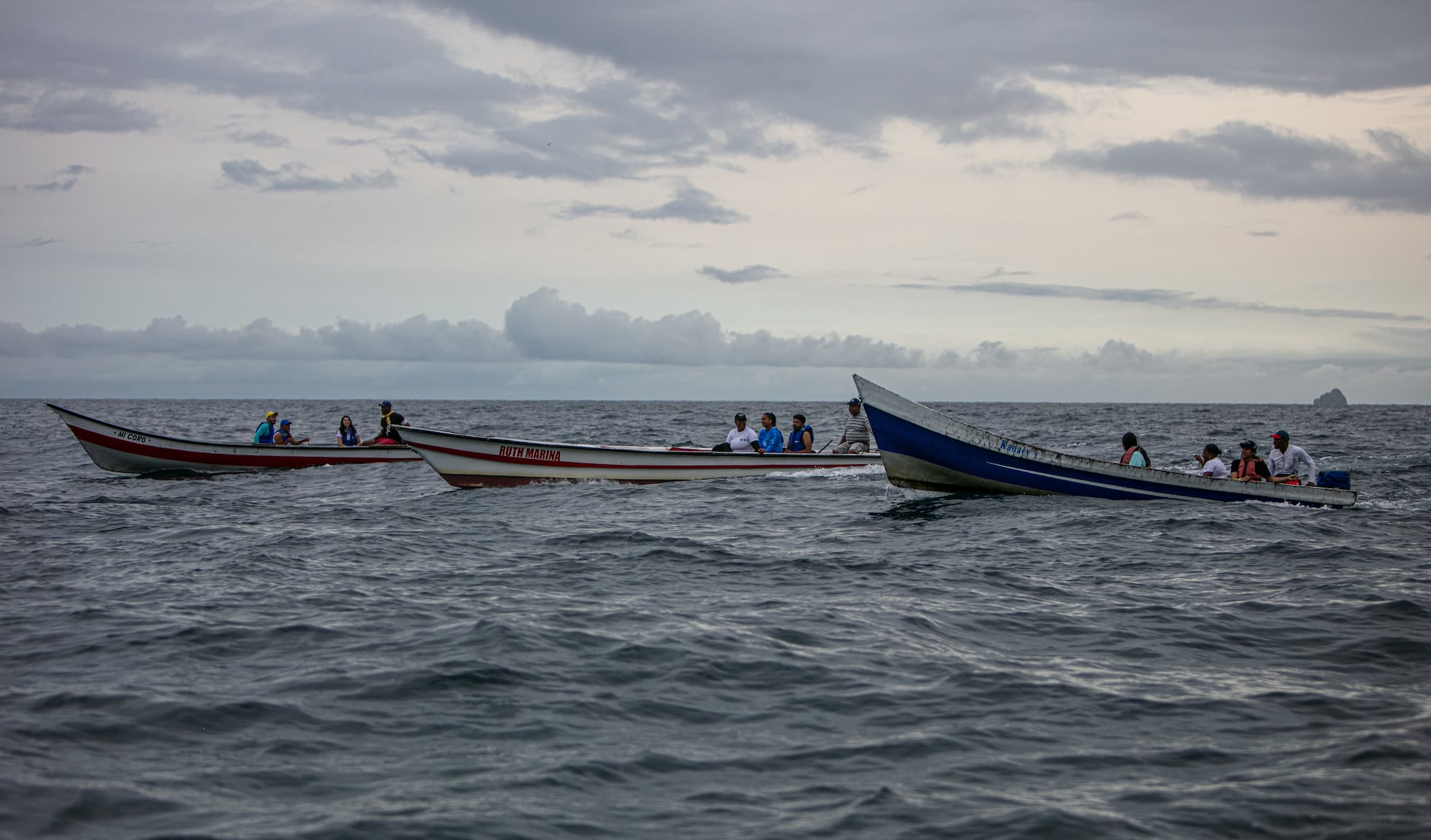 El Santuario de Acandí, un ejemplo para la conservación en Colombia | Fotos | América Futura ...