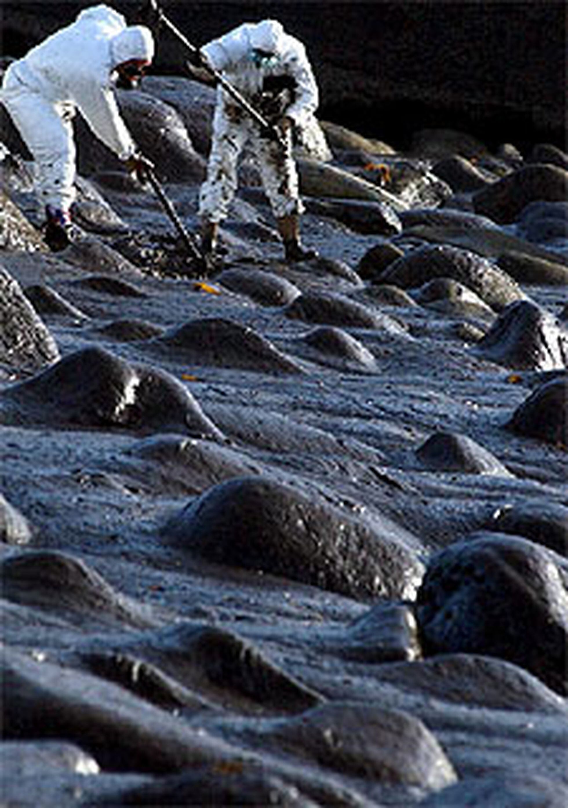 Limpieza de chapapote en Galicia | Domingo | EL PAÍS