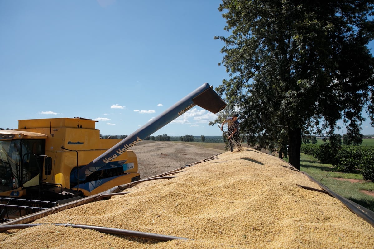 Brasil accede al trono mundial de la soja | Negocios | EL PAÍS
