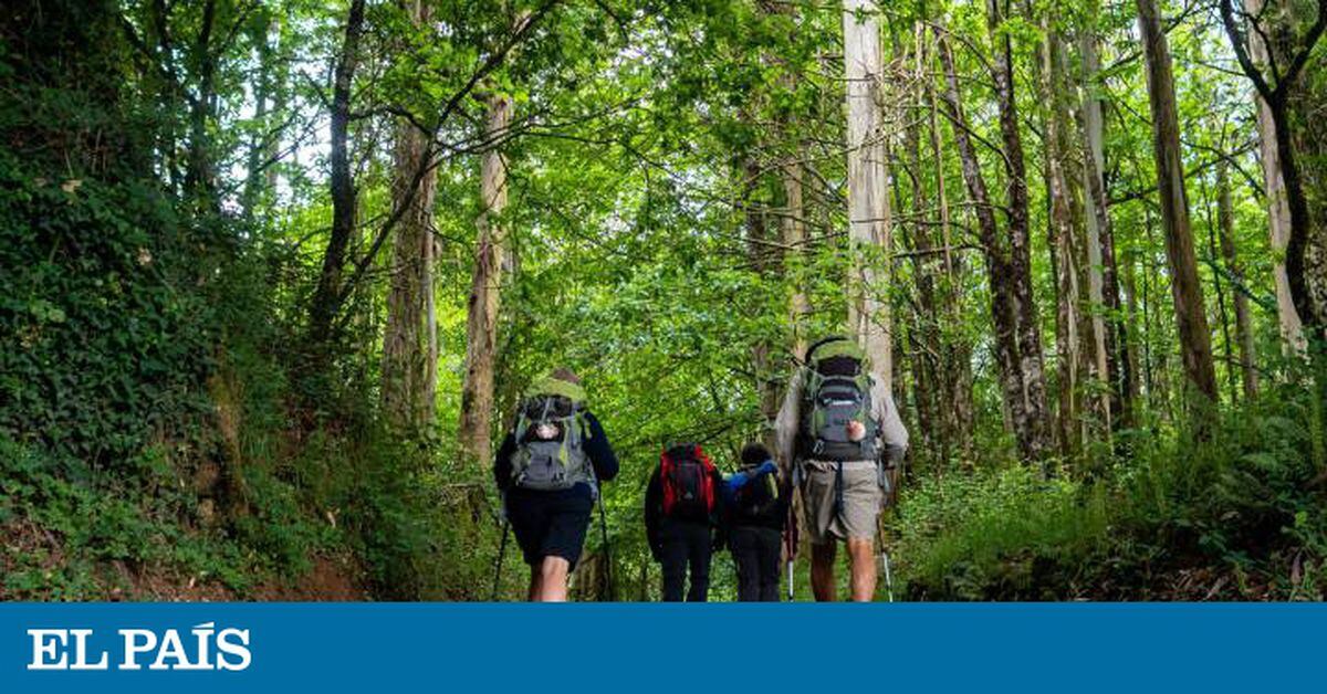 Lo que también existe es el Norte | Cultura | EL PAÍS