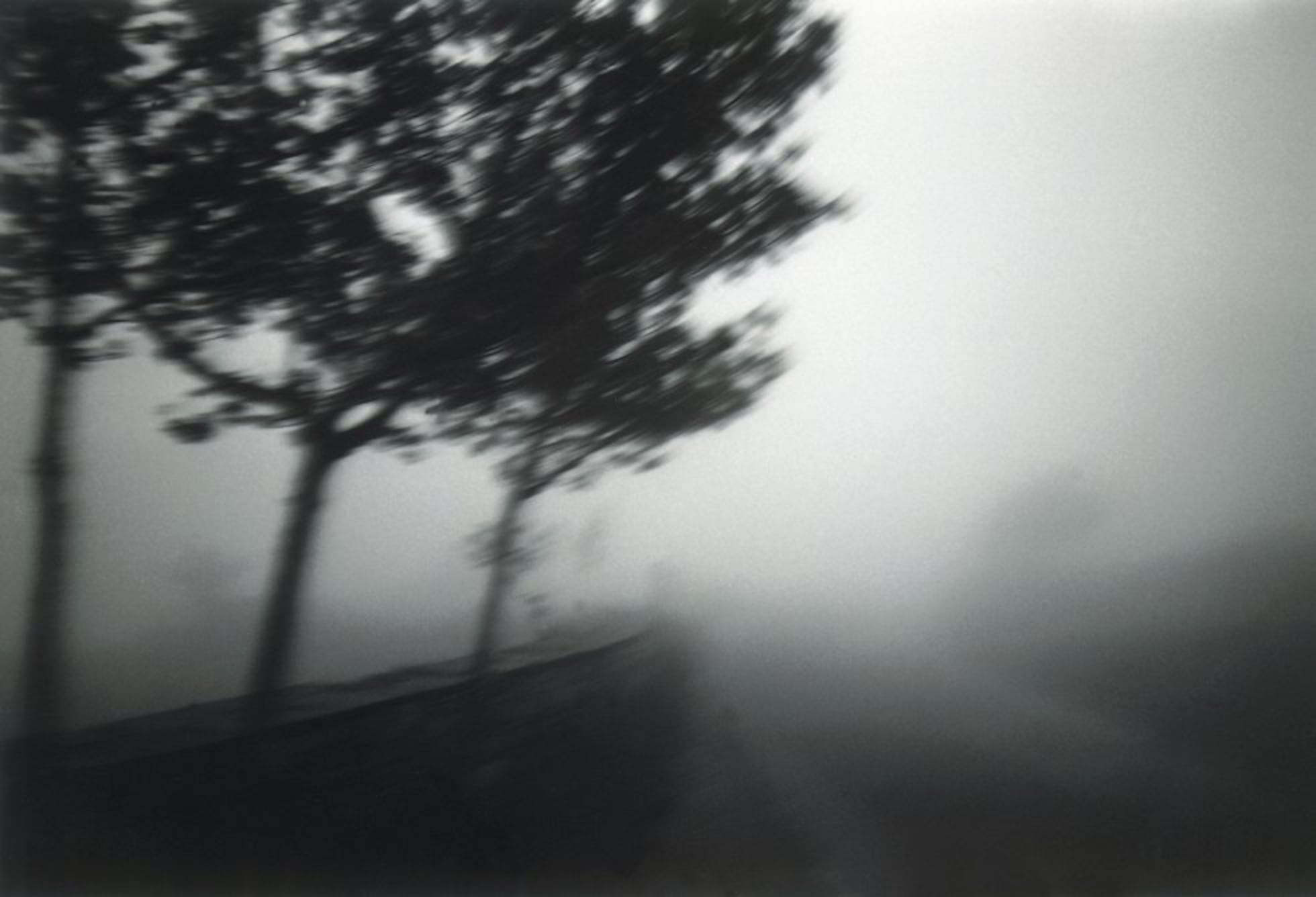 ‘Algo, nada, siempre’, exposición de Vari Caramés en la Sala Canal de ...