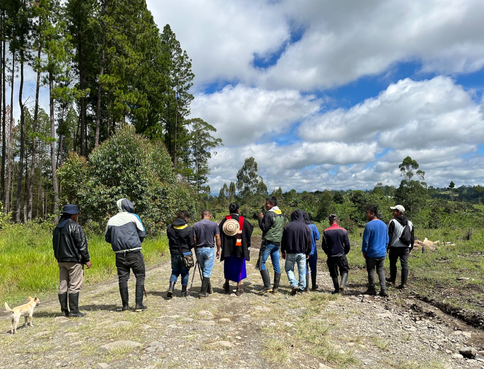 Taita Pedro Velasco, el líder misak que lucha contra una papelera ...