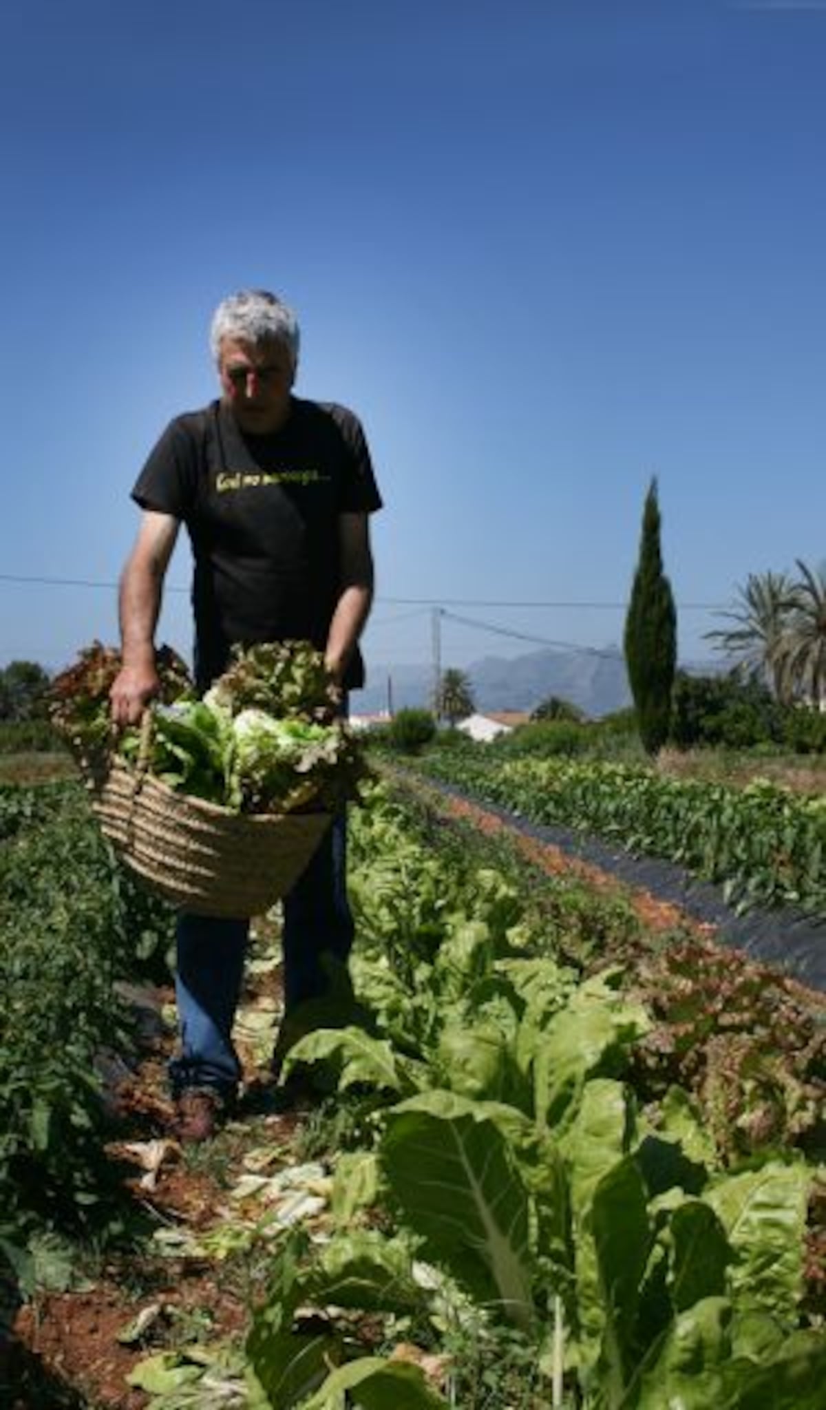Agricultores ecológicos en red | Noticias de la Comunidad Valenciana ...