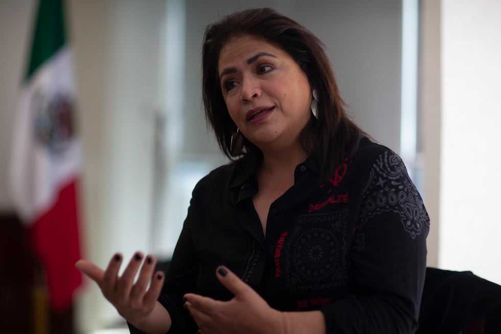 Fabiola Alanís: “Necesitamos dar un giro en la estrategia contra la violencia feminicida” | EL ...