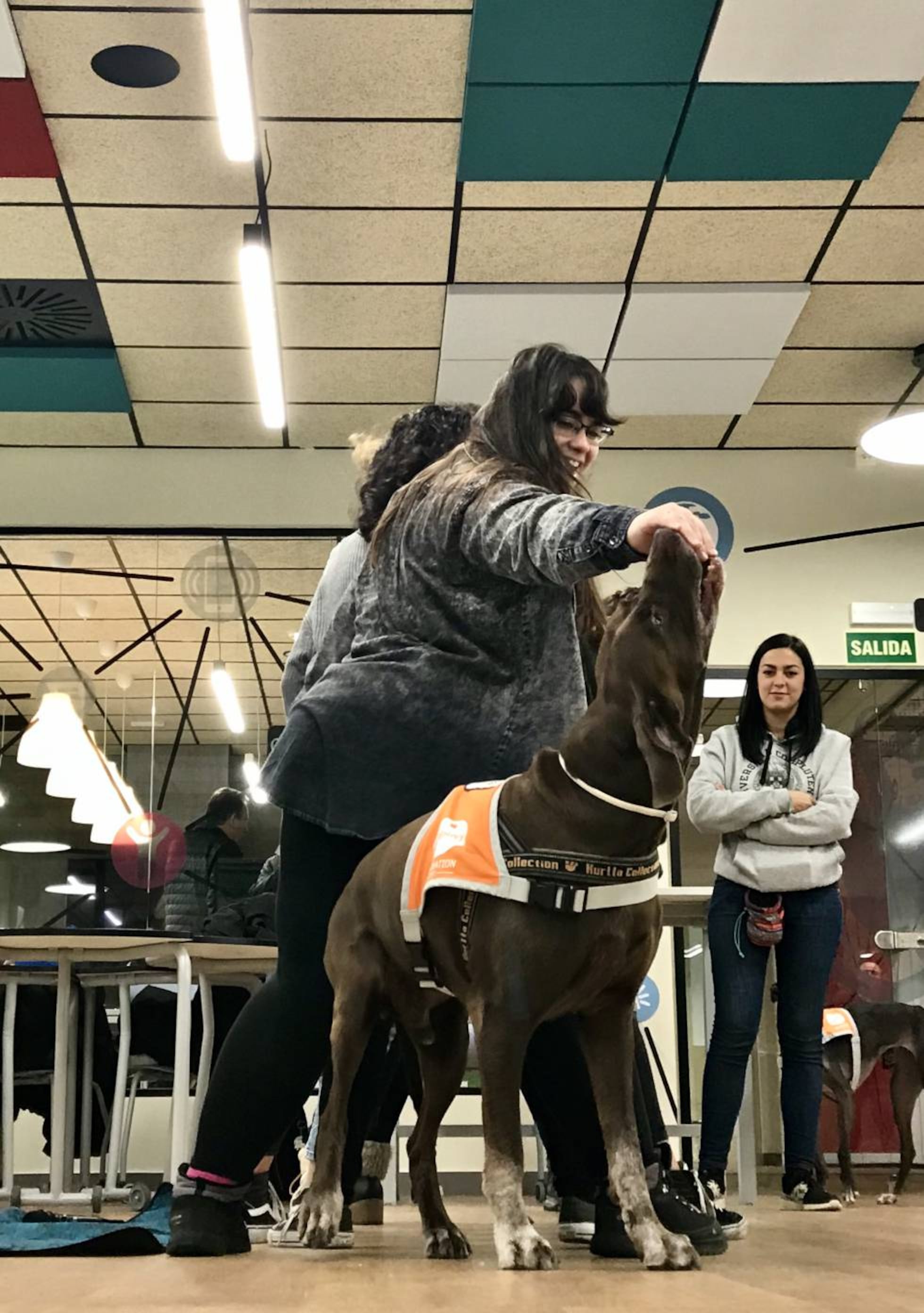 Terapia con perros y otras maneras de evitar el estrés académico ...