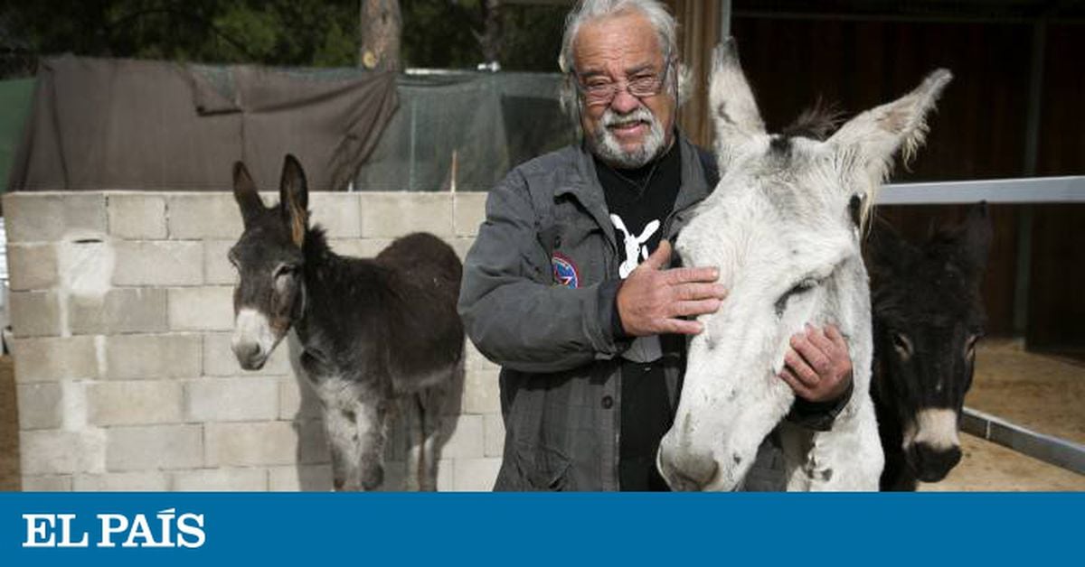 “Los burros son tremendamente inteligentes” | Noticias de Madrid | EL PAÍS