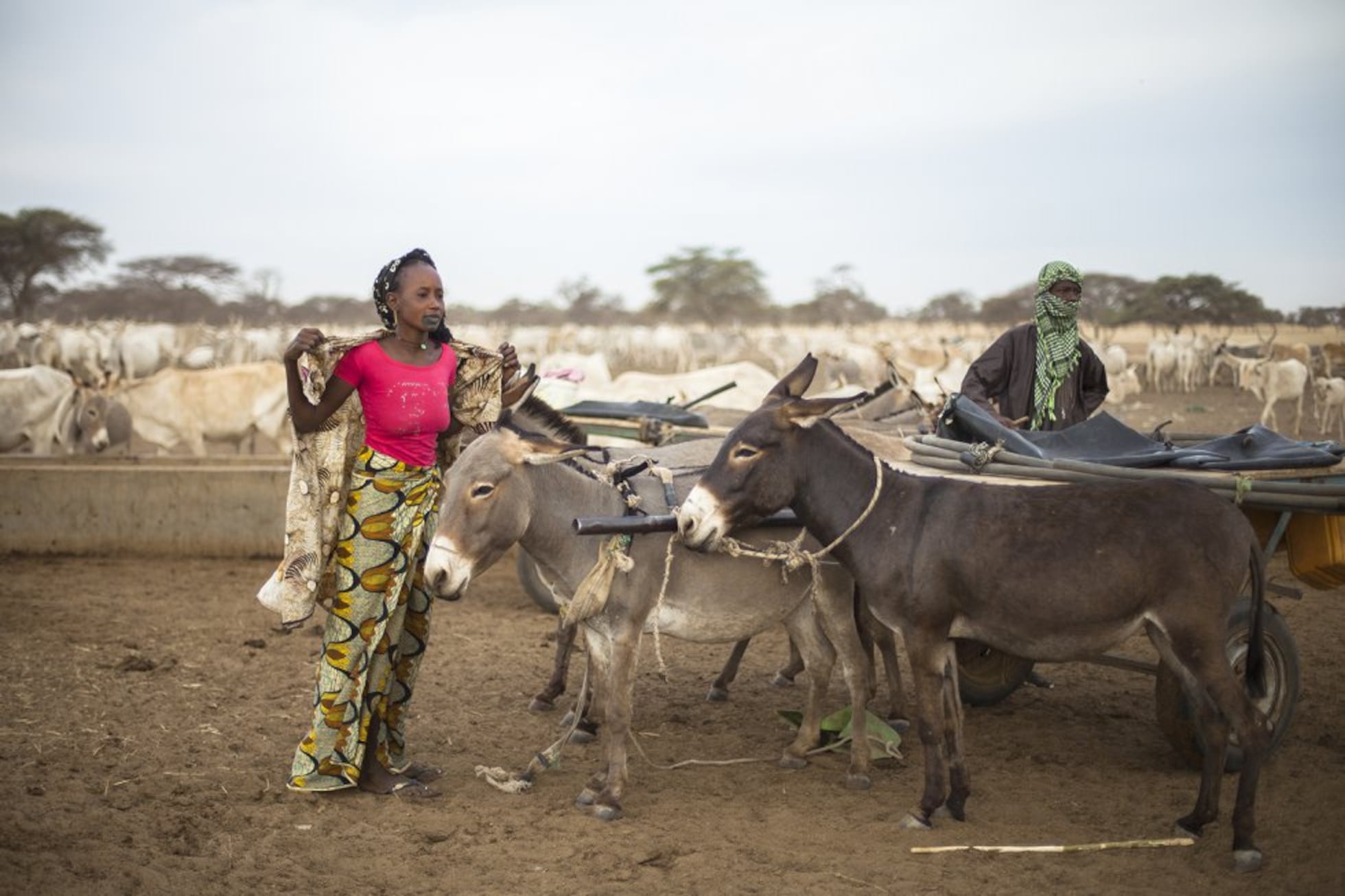 Senegal El Ferlo, un desierto que invoca a la lluvia: El Ferlo, un ...