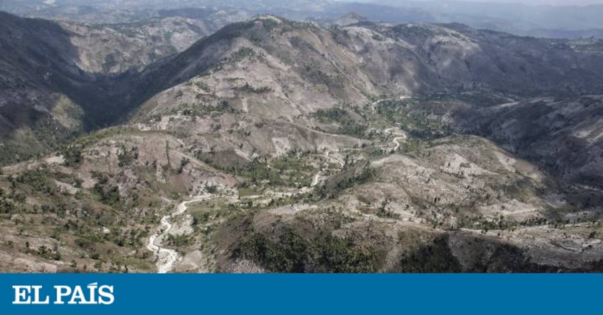 Haití se está quedando sin bosques | Ciencia | EL PAÍS