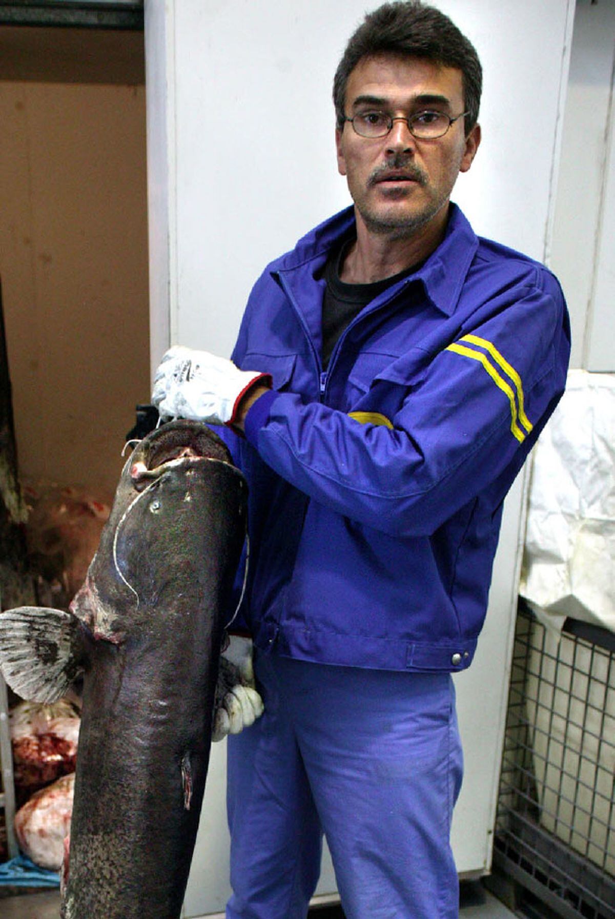 Valentin Ivanov | Sociedad | EL PAÍS