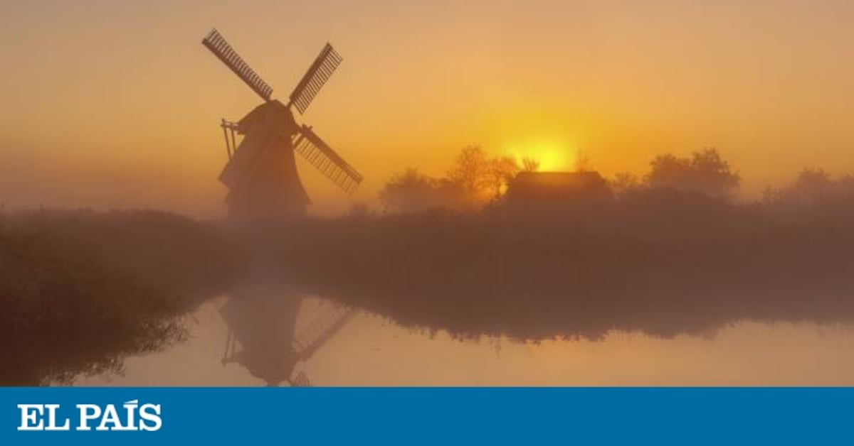 Alba | Cultura | EL PAÍS