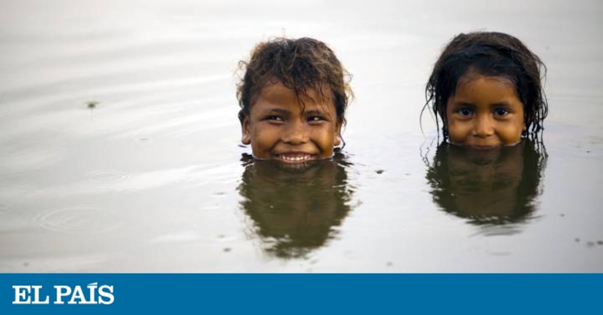Día Mundial de los Humedales: La ‘cultura anfibia’ de Colombia, en ...