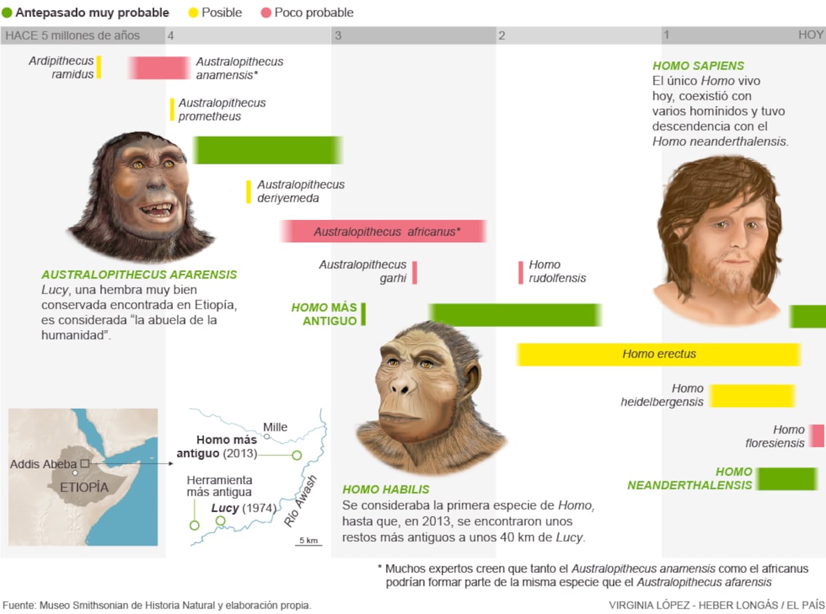 Los ancestros de los humanos | EL PAÍS Semanal | EL PAÍS