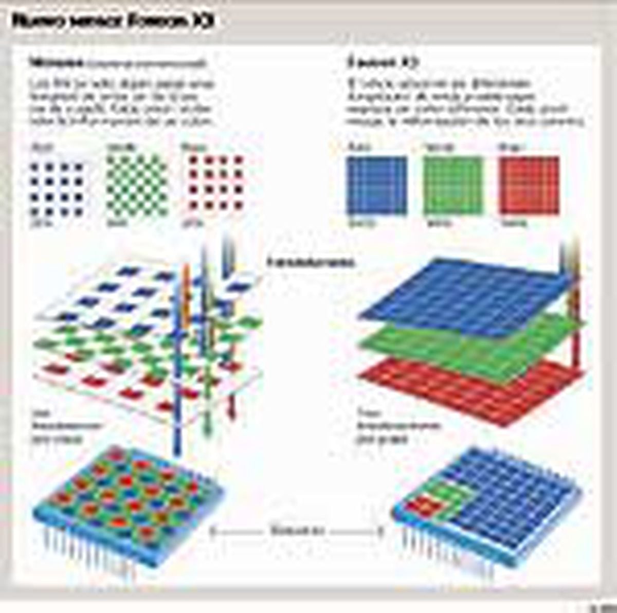 Nuevo sensor Foveon X3 | CiberPaís | EL PAÍS