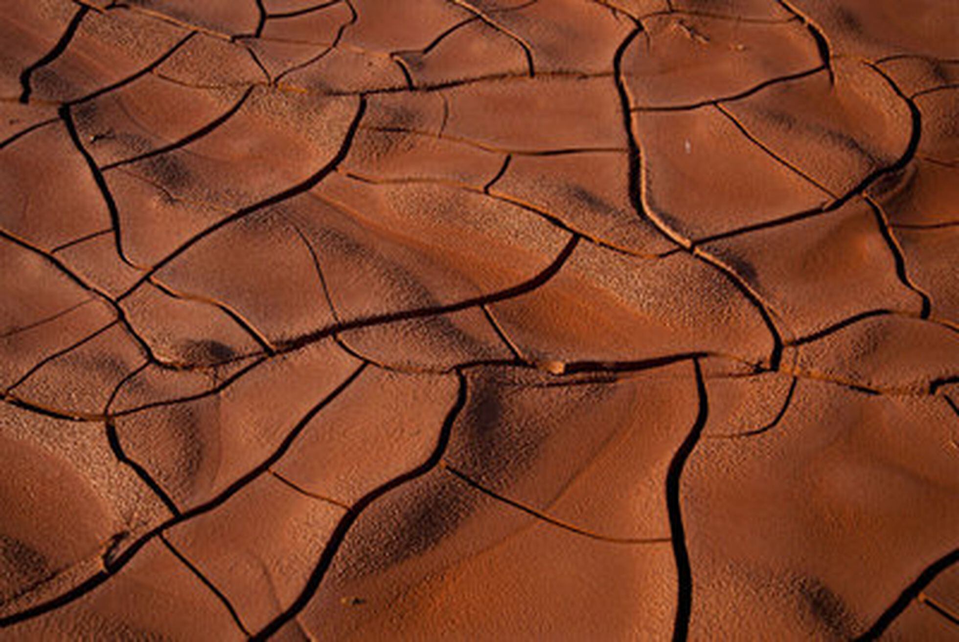 "Hay zonas con tanto lodo que no podrán ser recuperadas" | Sociedad ...