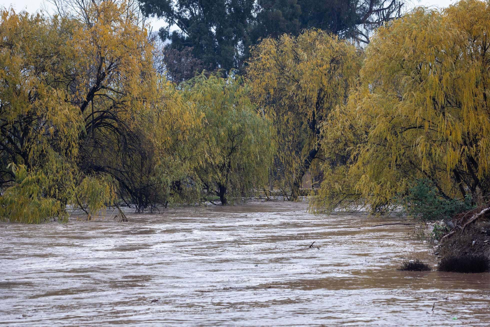 La crecida del río Mapocho, en imágenes | Fotos | EL PAÍS Chile