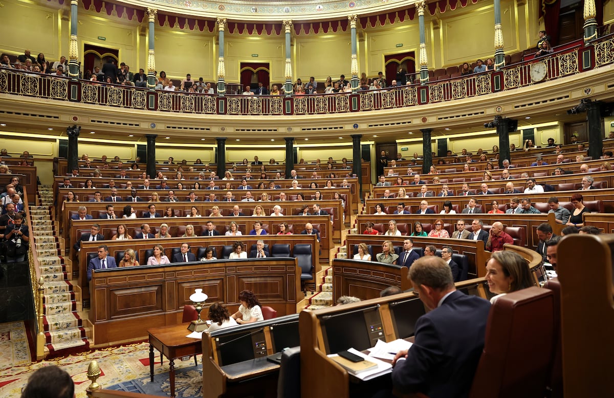 Manual de instrucciones de parlamentarismo | Opinión | EL PAÍS