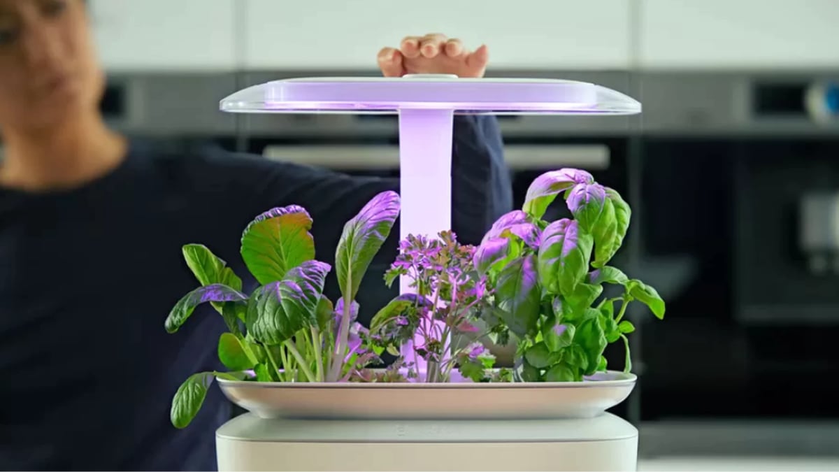 Smart Grow Bosch: ¿Quieres un regalo original? Estos huertos domésticos ...