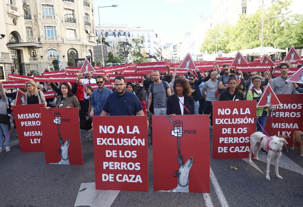 El Congreso tumba las enmiendas a la totalidad de la ley de bienestar ...
