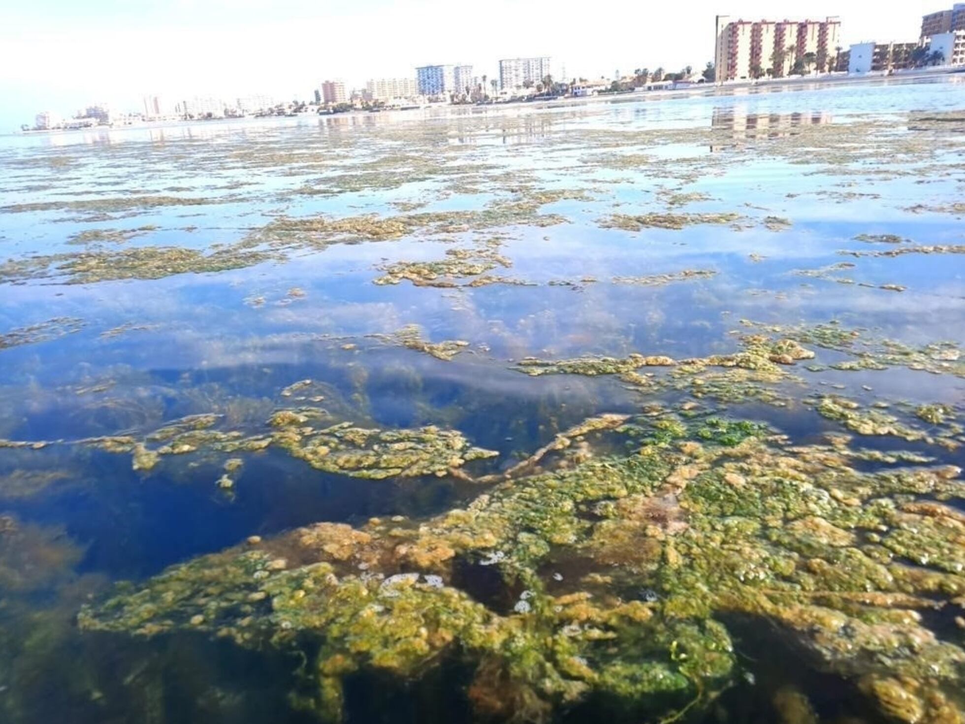 El Instituto Español de Oceanografía alerta del riesgo de otro episodio ...