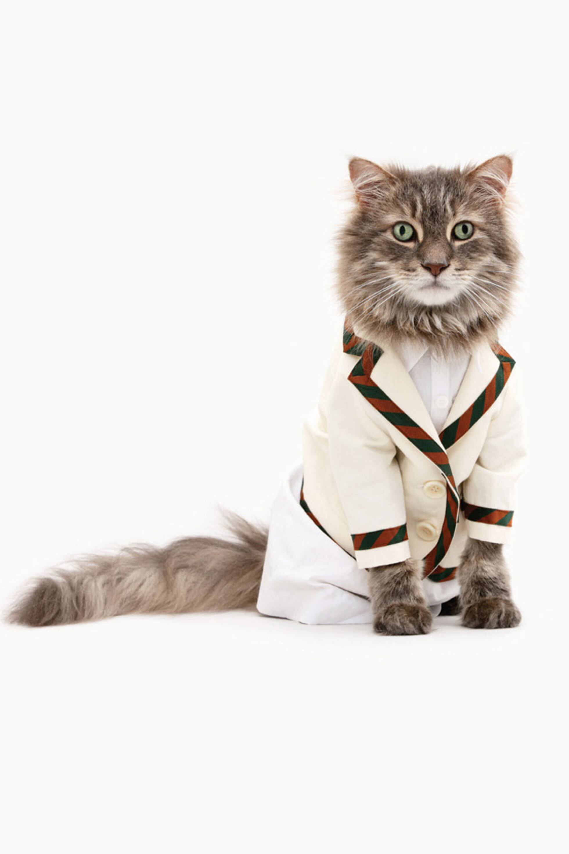Temporada de gatos | Fotos | S Moda: Revista de moda, belleza ...