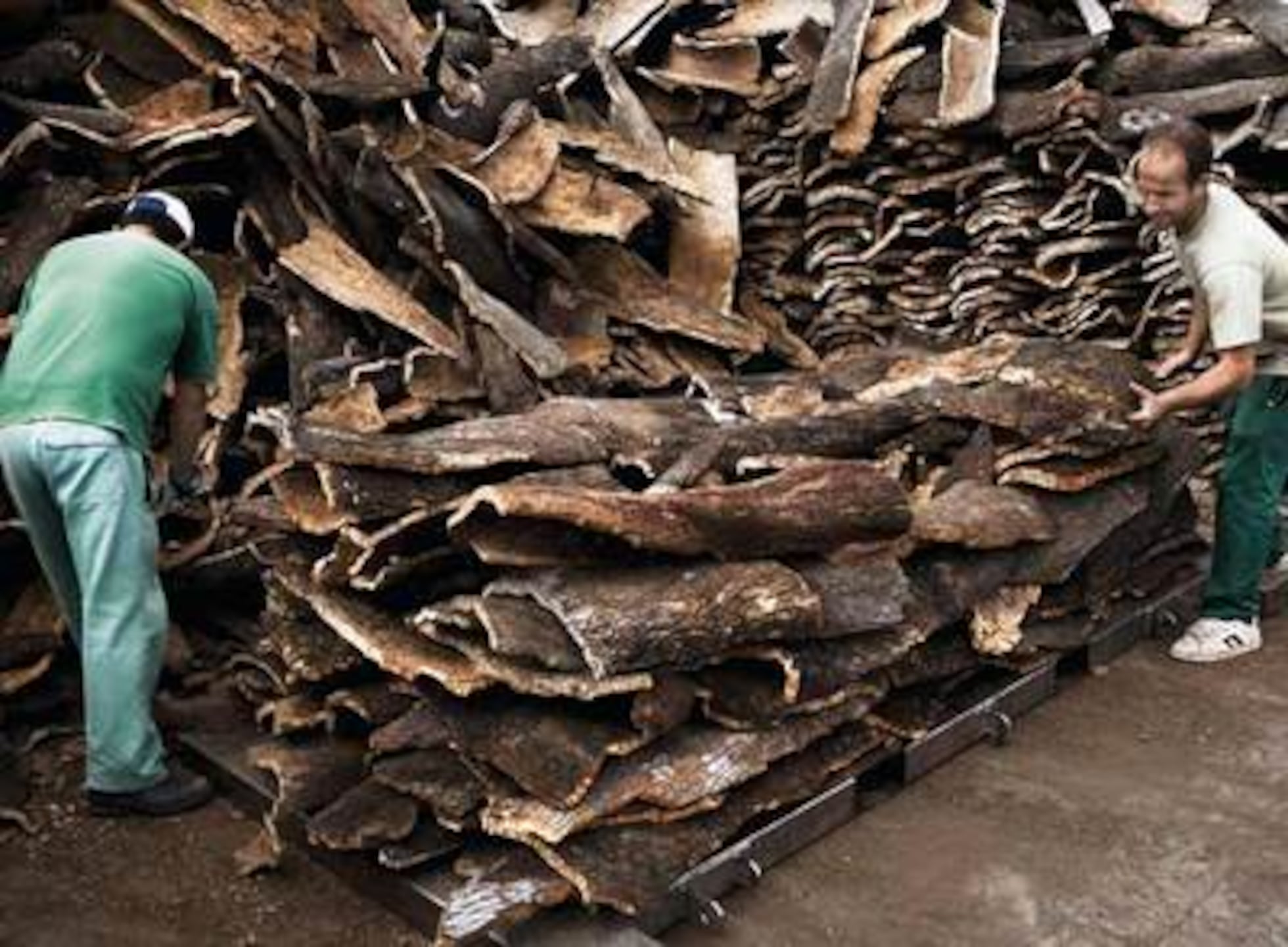 El corcho. Cómo sacarlo a flote | EL PAÍS Semanal | EL PAÍS