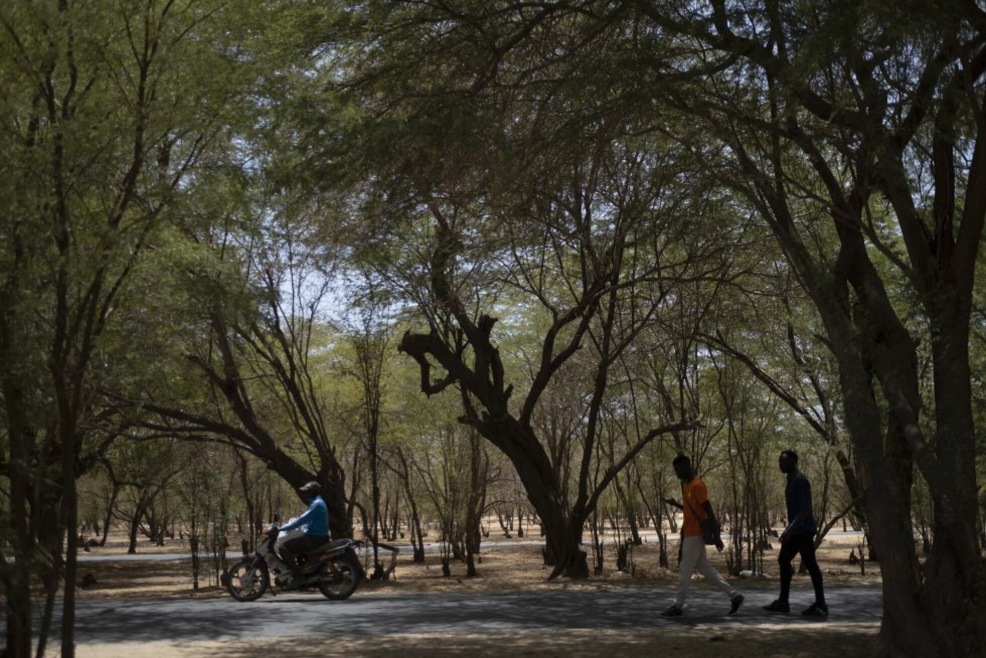 Senegal De paseo por el barrio de Bango: De paseo por el barrio de ...