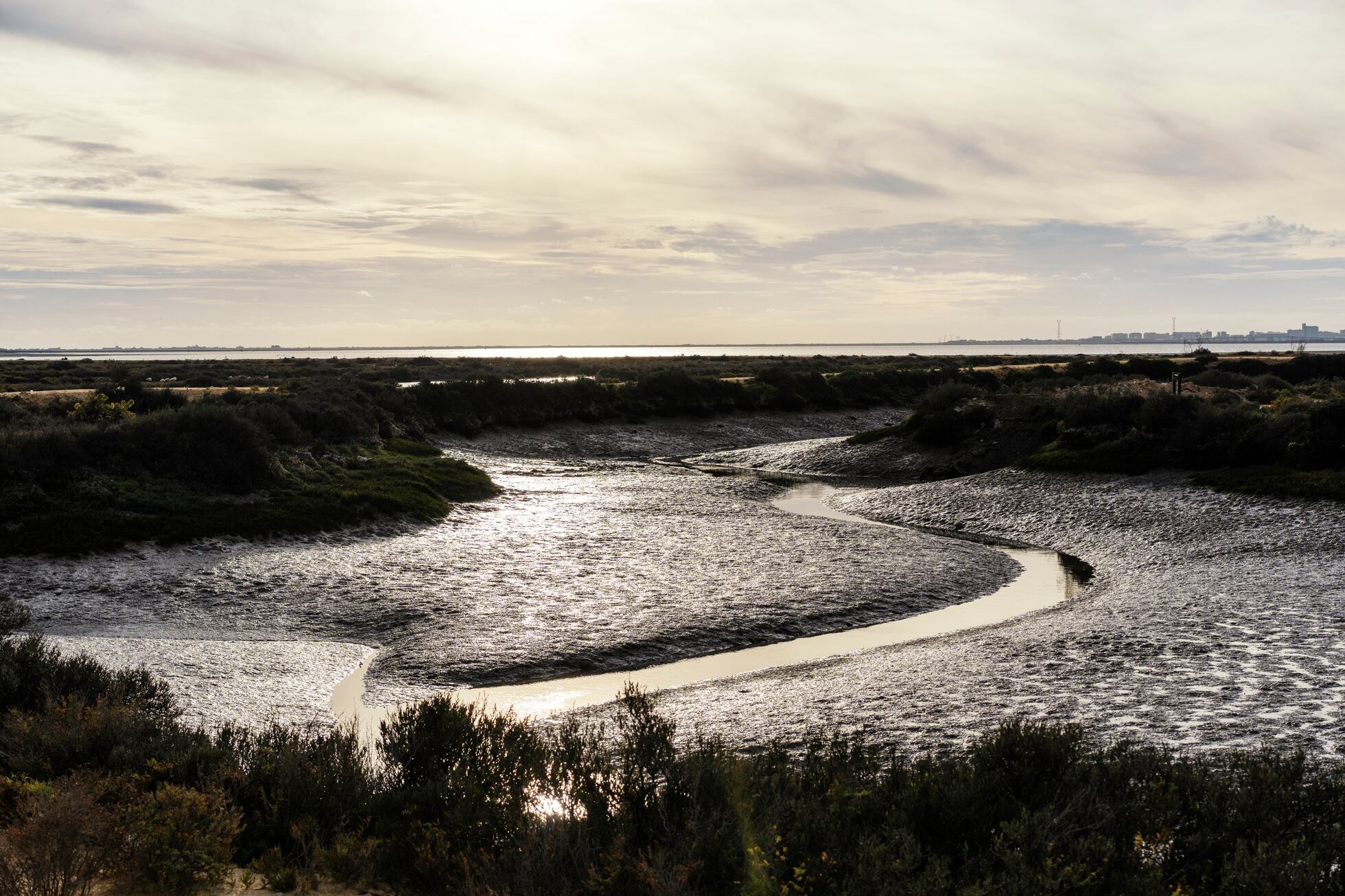 Ángel León, el chef del mar: “Mi sueño es un centro de investigaciones ...