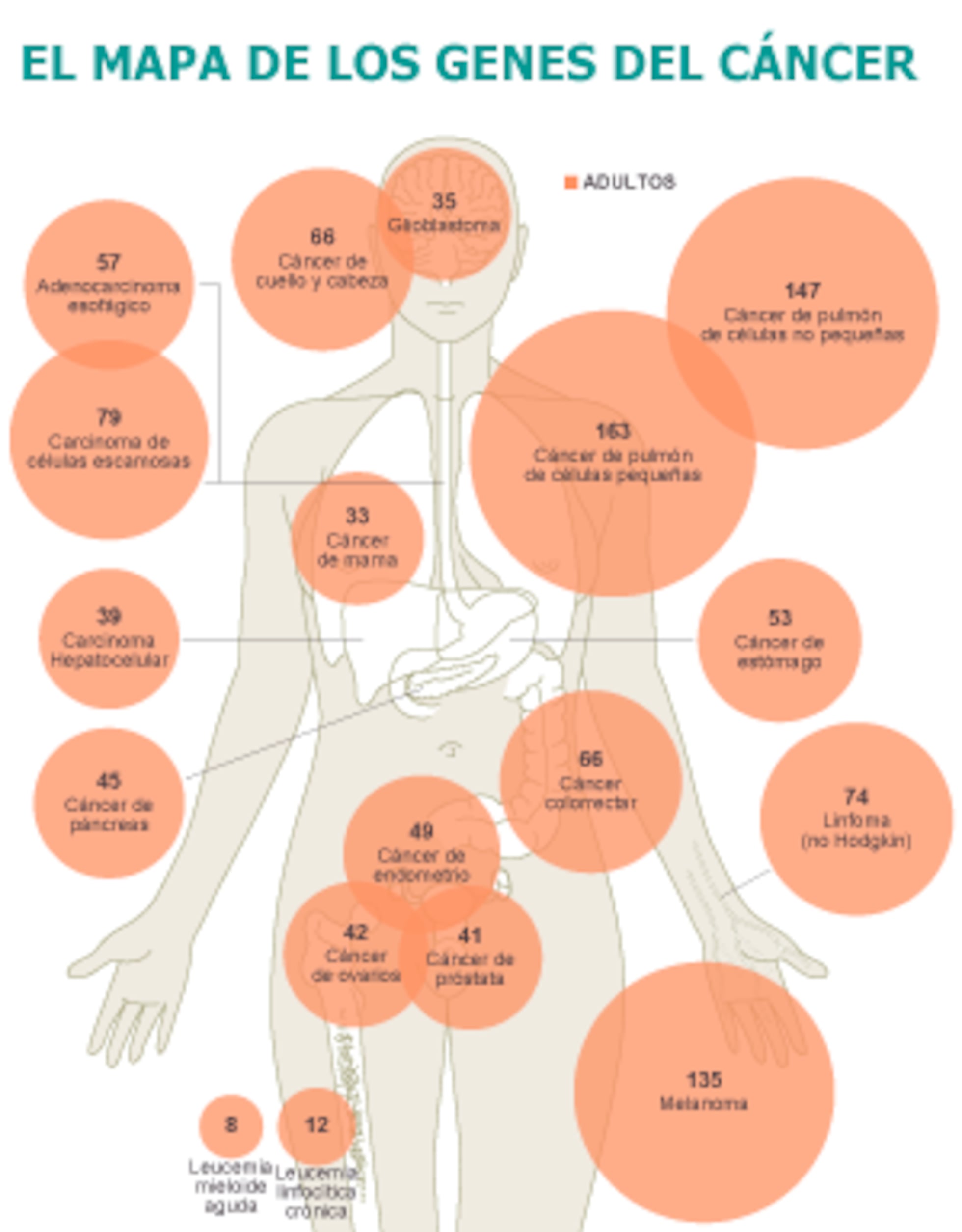 El mayor mapa genético del cáncer | Sociedad | EL PAÍS