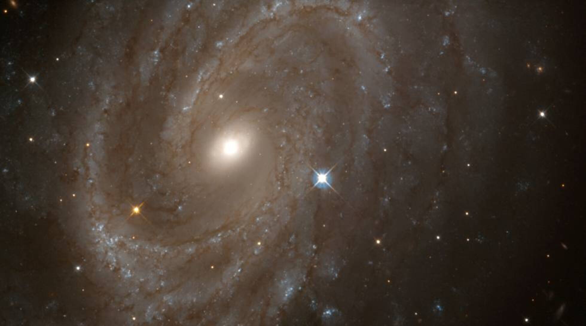Astrofísica: Cefeidas | Opinión | EL PAÍS