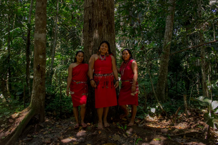 Las Nuwas: El bosque de las ‘nuwas’, el lugar donde las indígenas ...