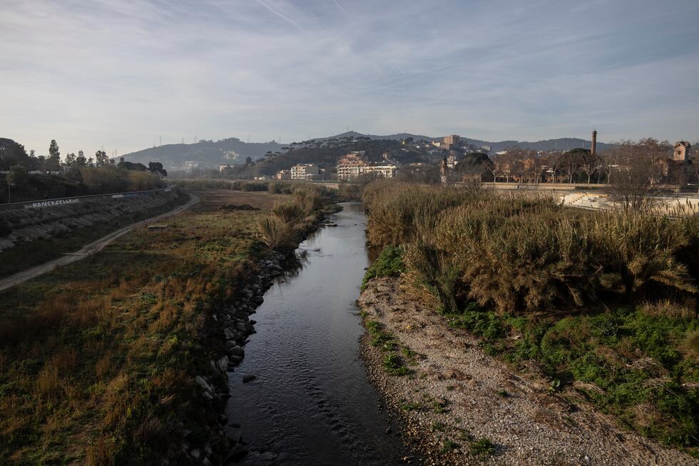 Barcelona, laboratorio de la sequía en el sur de Europa | Noticias de ...