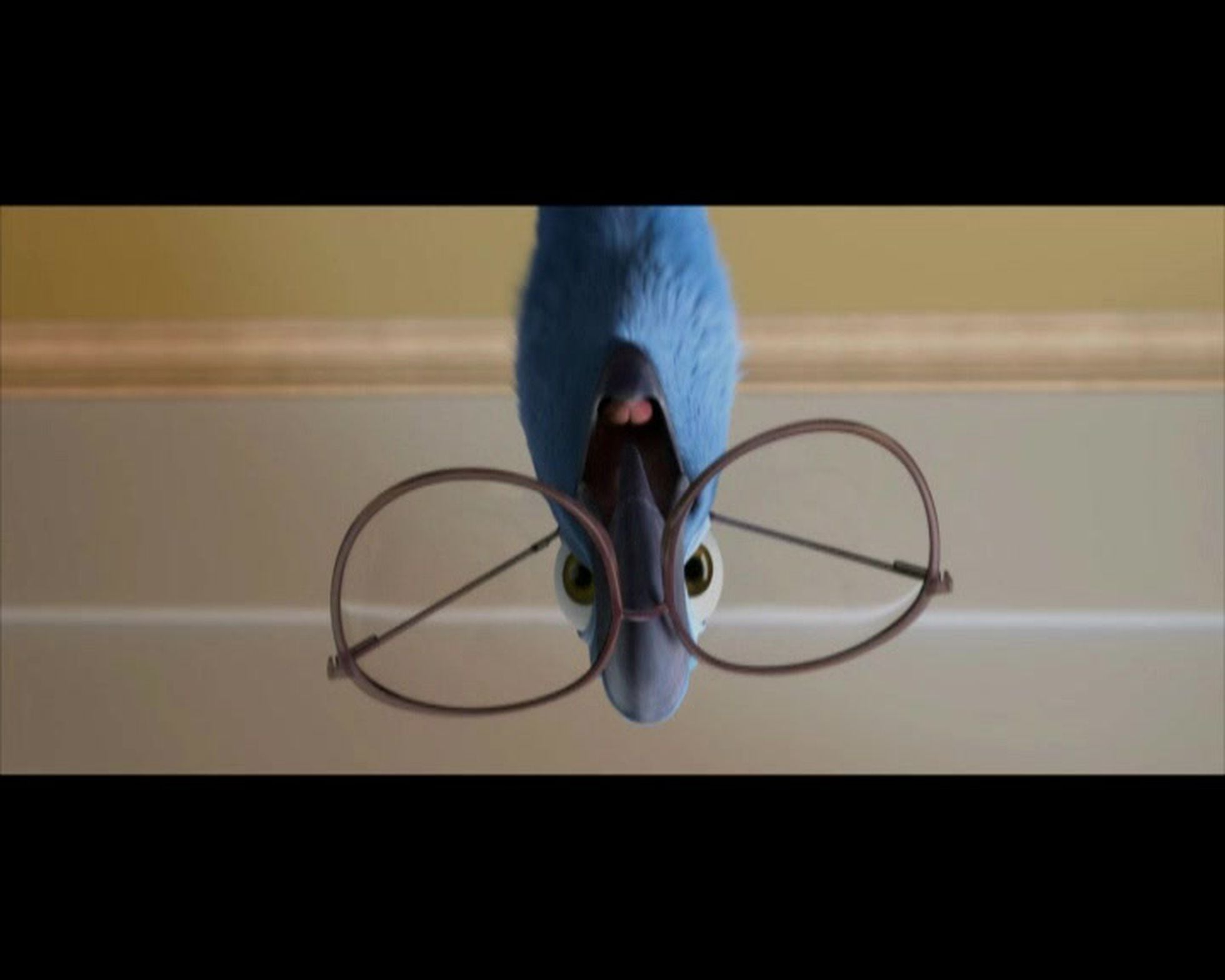 Tráiler de la película 'Rio' | Cultura | EL PAÍS