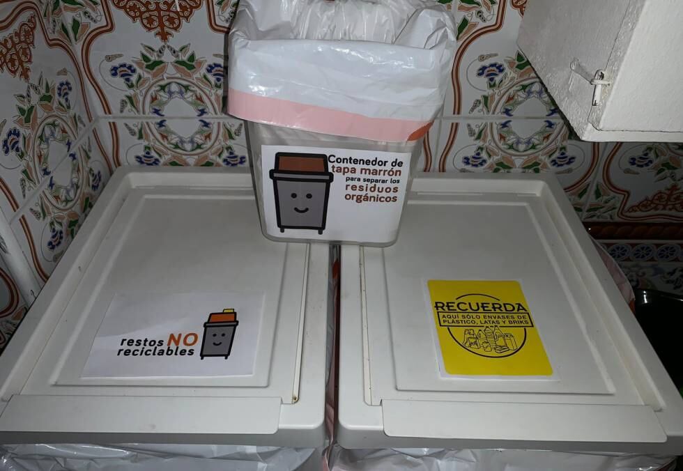 Cómo saber si eres principiante o experto en reciclaje. ¿Te sientes ...