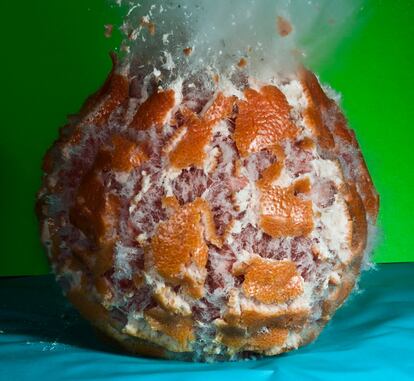 Comida en explosión: las impactantes fotos de Alan Sailer | El ...