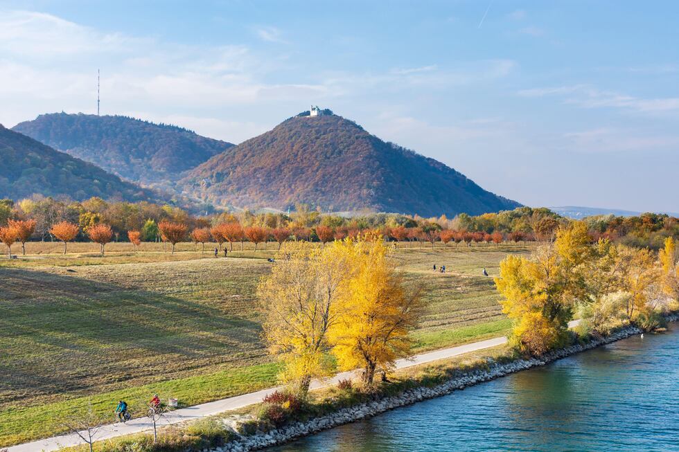 En bicicleta siguiendo el Danubio de Viena a Bratislava | El Viajero | EL PAÍS