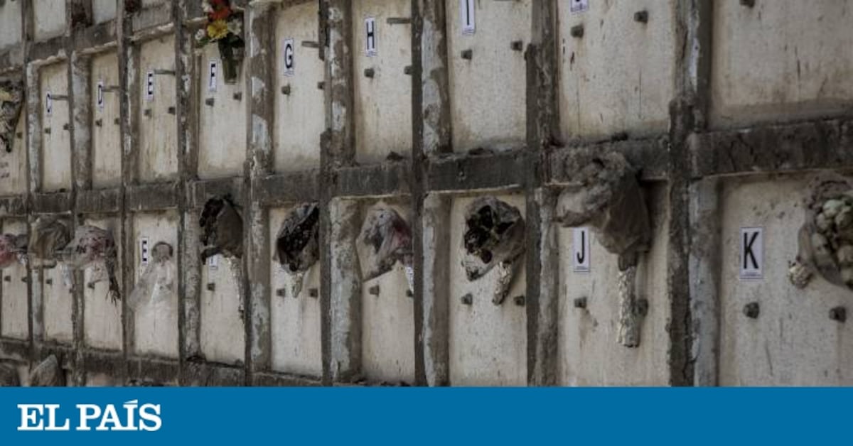Tráiler Jalisco: La morgue de México en la que 400 cuerpos se apilan ...