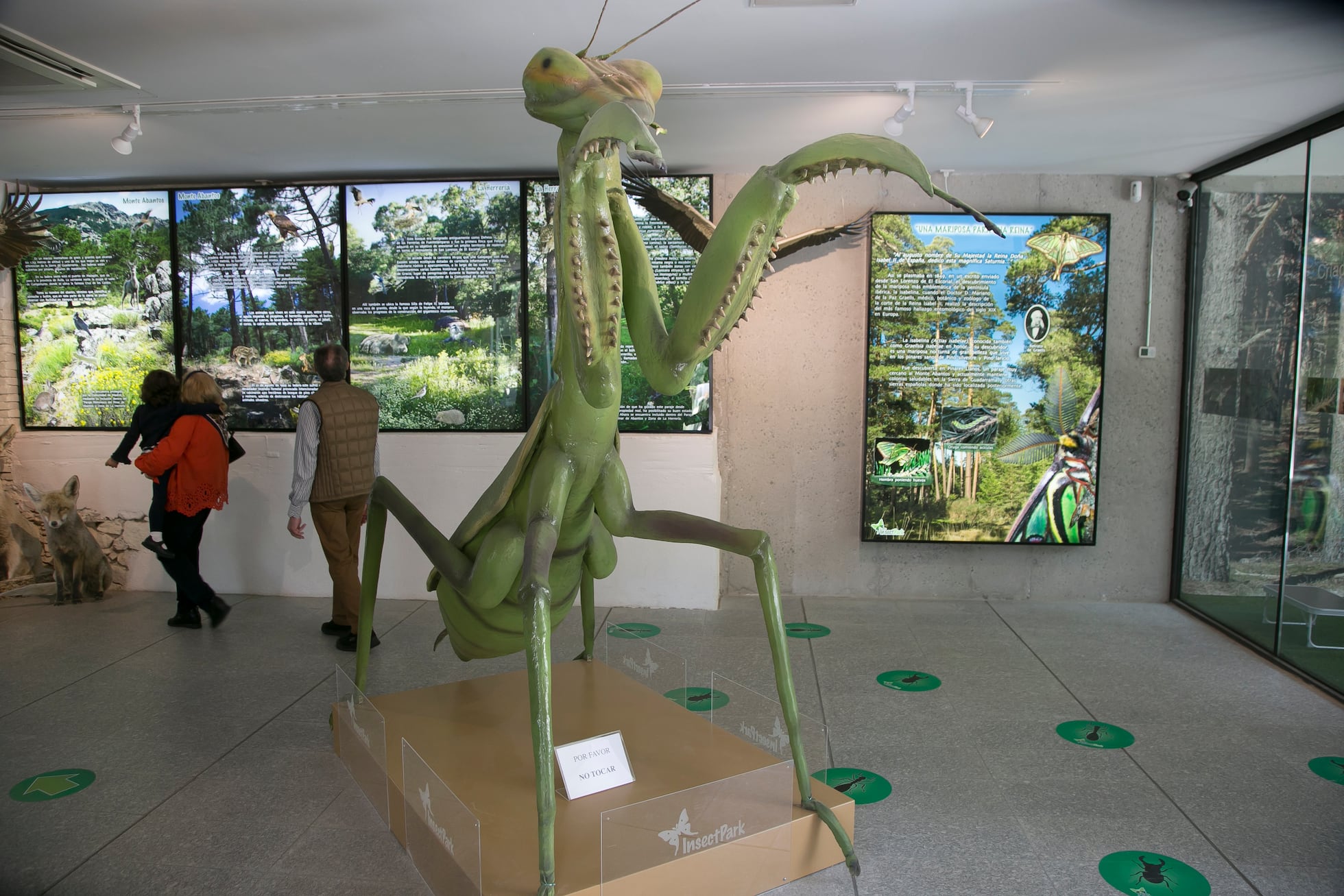 Insectpark, el museo donde “entras pensando que los bichos son pequeños ...