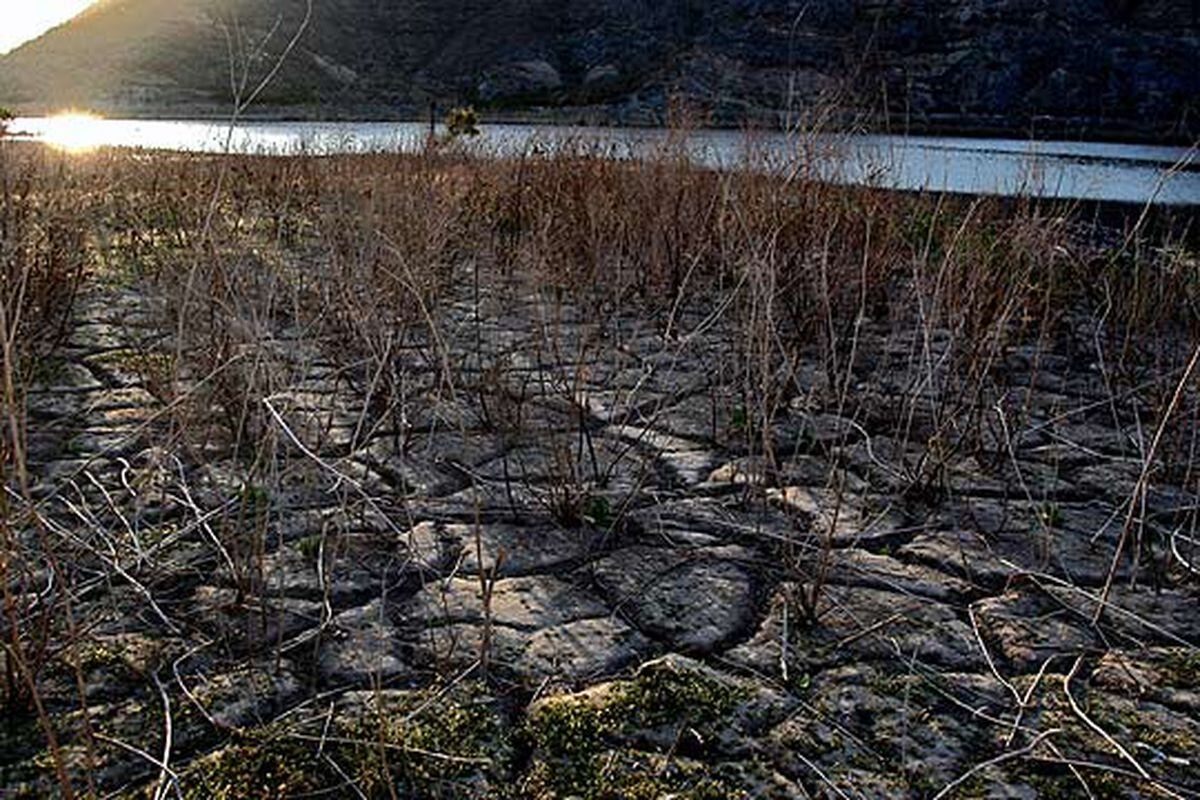 Imagen del lecho seco del pantano de Cuevas de Almanzora | Economía ...
