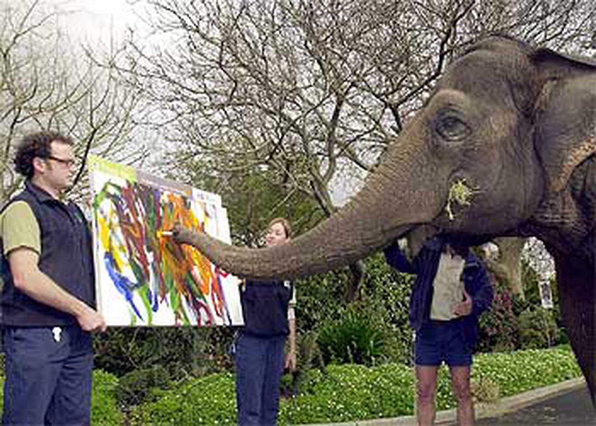 Un elefante 'pintor' en Melbourne | Actualidad: Noticias de hoy | EL PAÍS