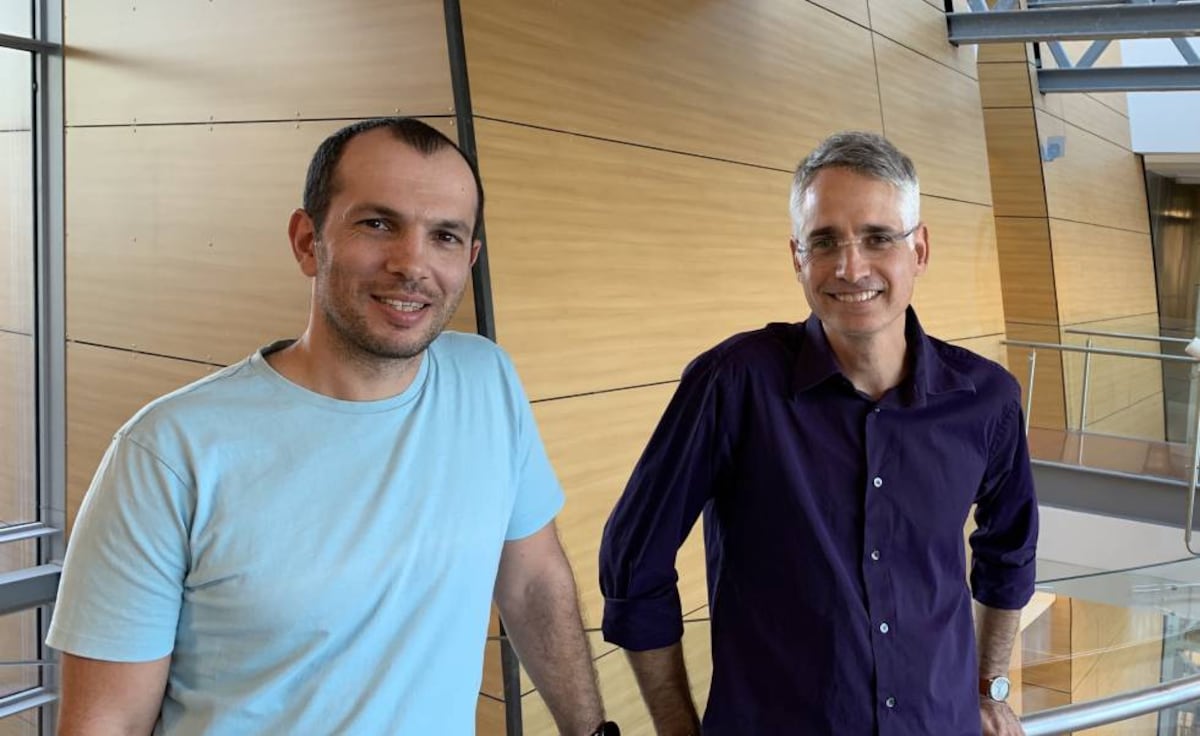 Escherichia coli: Científicos israelíes transforman una bacteria del ...