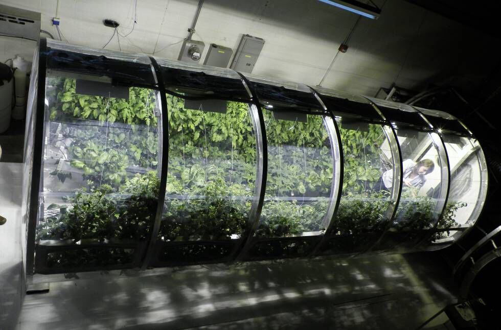 Cómo hacer un huerto en la Luna | Ciencia | EL PAÍS