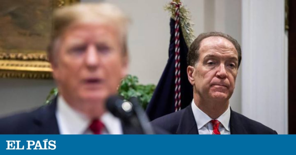 Trump propone a David Malpass como candidato a presidir el Banco ...