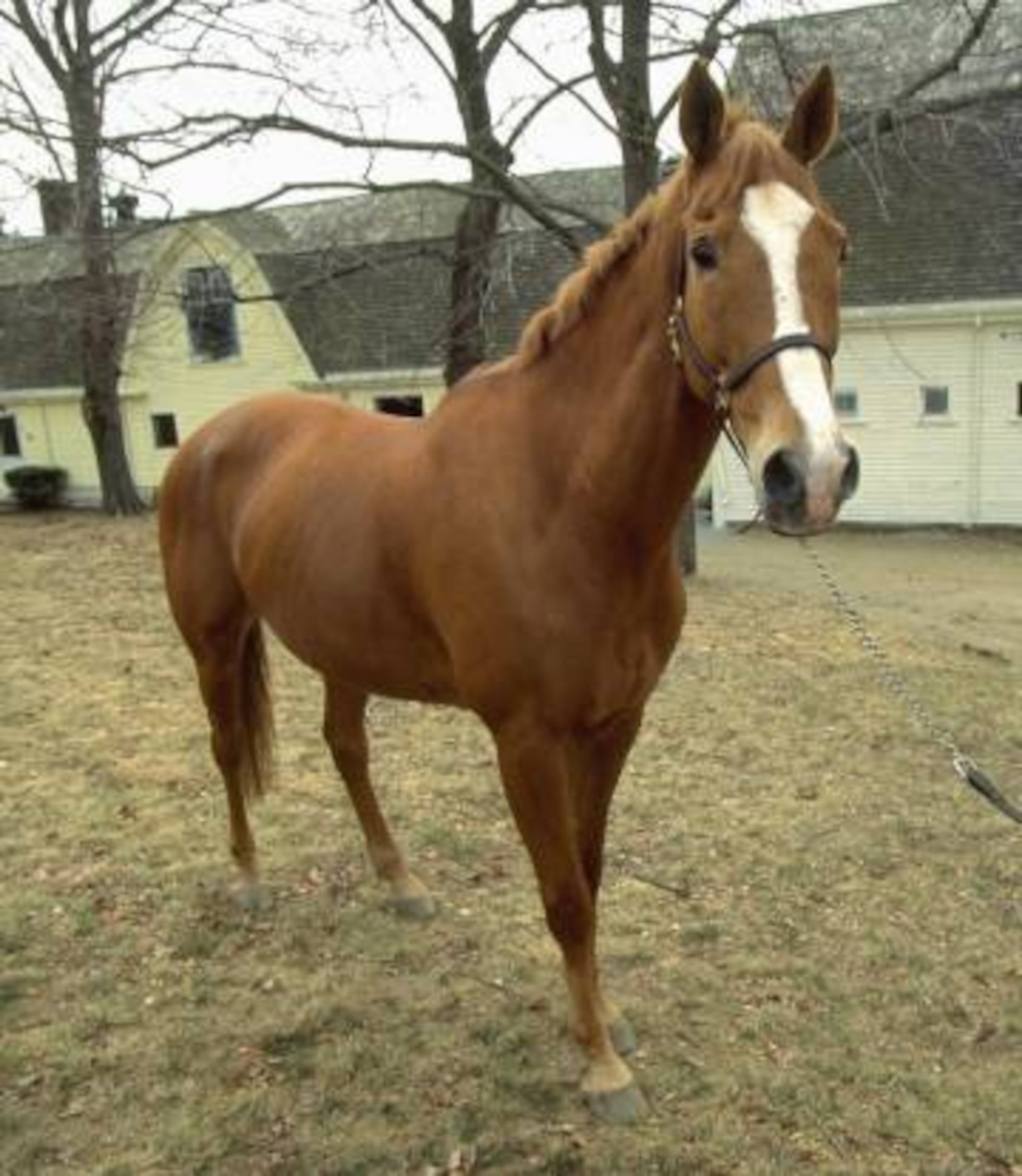 Un solo centímetro, una vida arruinada: el accidente que hizo que ...
