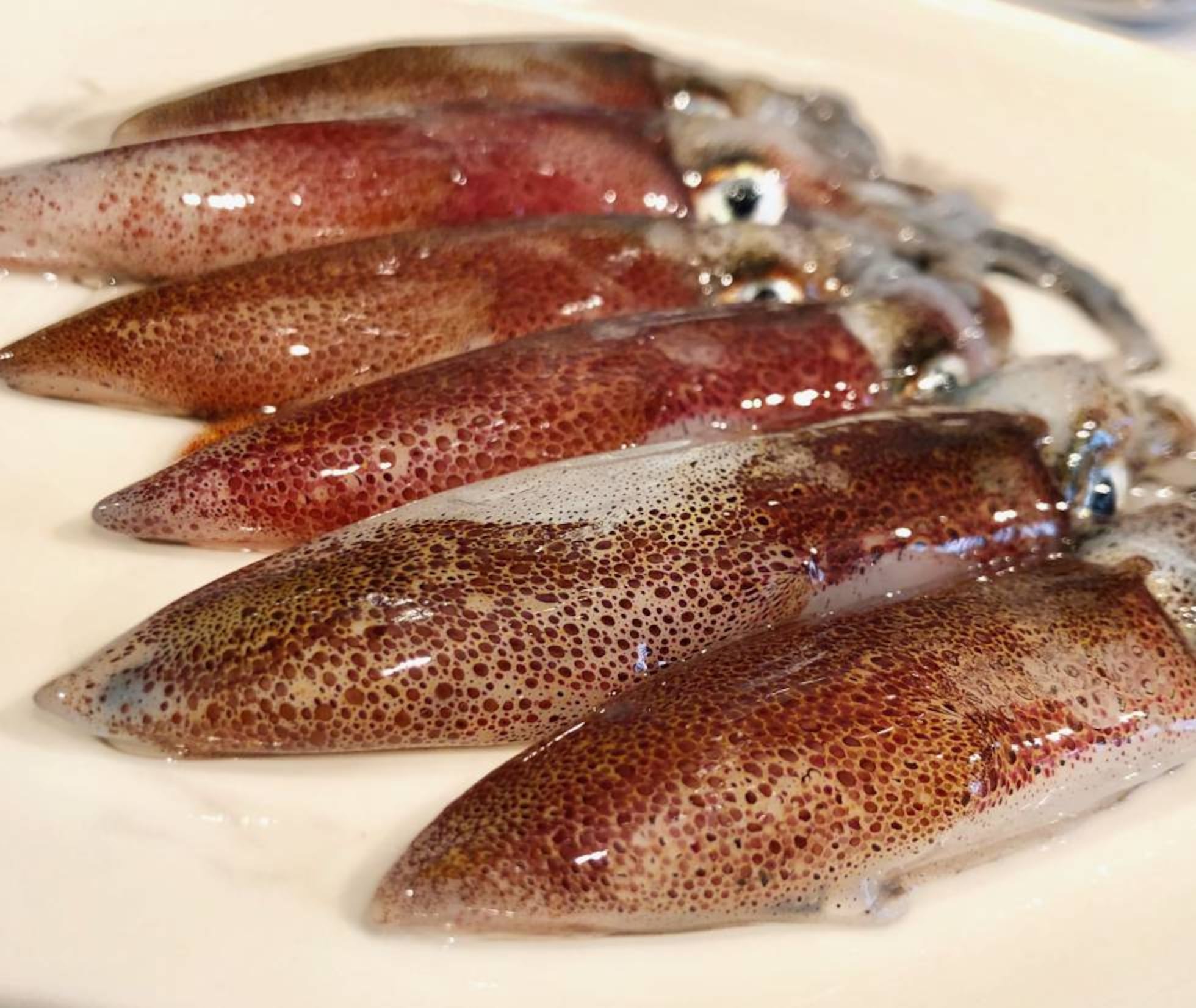 Los chipirones son cosa del verano | Gastronotas de Capel | EL PAÍS