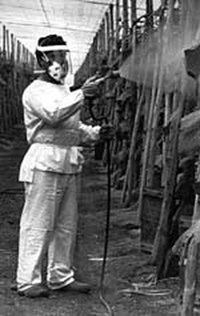 Persona fumigando plantas | Salud | EL PAÍS