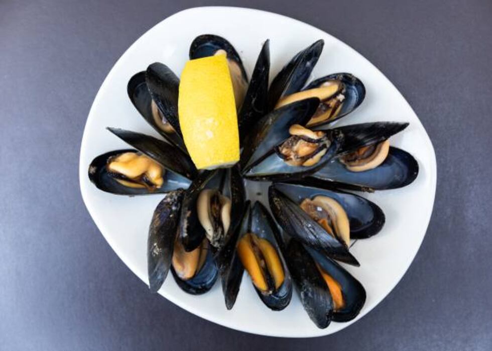 Clóchinas: las hermanas pequeñas, finas y valencianas del mejillón ...