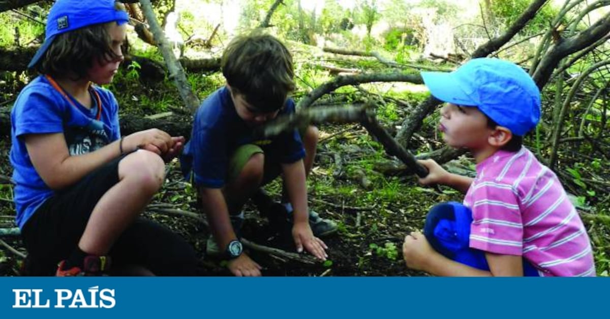 Un día en la escuela del bosque | Ecoembes: Espacio Eco | EL PAÍS
